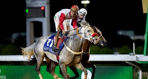 Press Release 10 Feb 2024