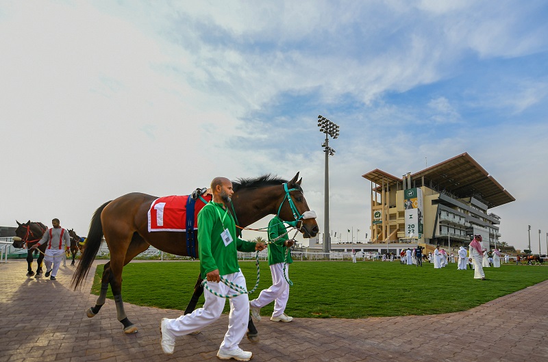 Where to Watch The Horses - Riyadh